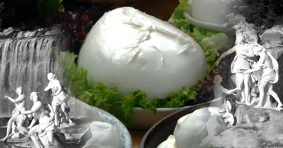 Buffalo Mozzarella: History, Info, Interesting Facts - WFC