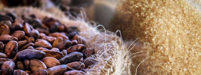 Modica Chocolate: the Complete Guide - WFC